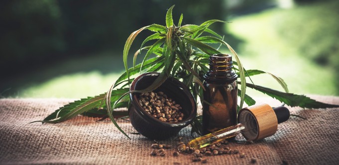 "Bane of my life": How Facebook's hemp ban is holding back an industry ...